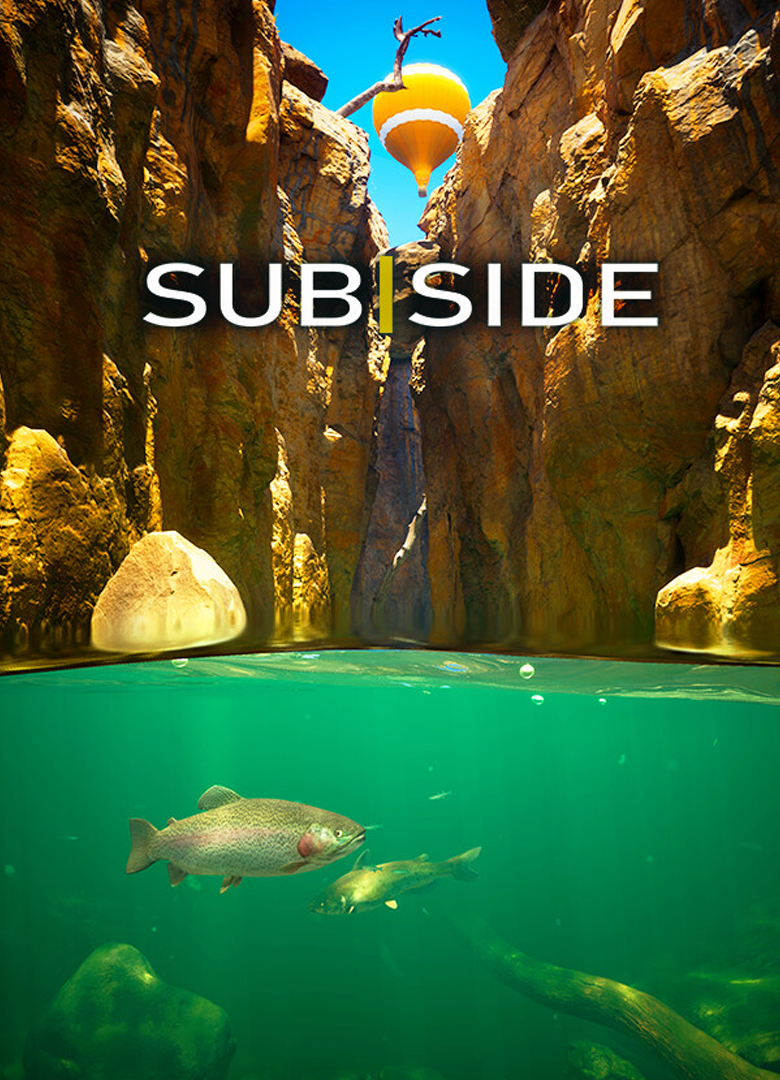 Купить игру Subside